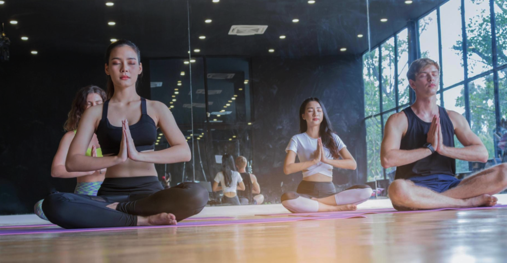 Home Activewear - Venivo Sports